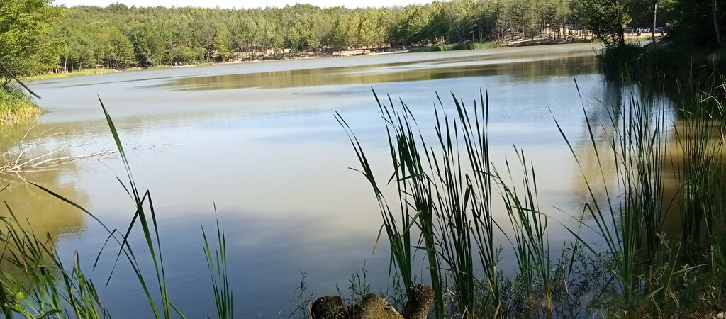 Piknik alanı Kuru Göl Tabiat Parkı Piknik Alanı, Kaynaşlı, foto