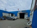 AutoExpert (Avrovovskaya Street No:1), otomobil satış galerileri  Vladivostok'tan