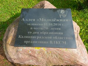 Аллея Молодёжная (Kaliningrad Region, Svetlogorsk, Tsentralny park kultury i otdykha), turistik yerler  Svetlogorsk'tan