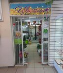 Magazin tsvetov Flora (Frunze Street No:23), çiçekçiler  Tolyatti'den (Togliatti'den)