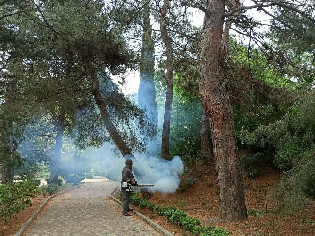 Haşere ilaçlama firmaları Trifon, Sevastopol, foto