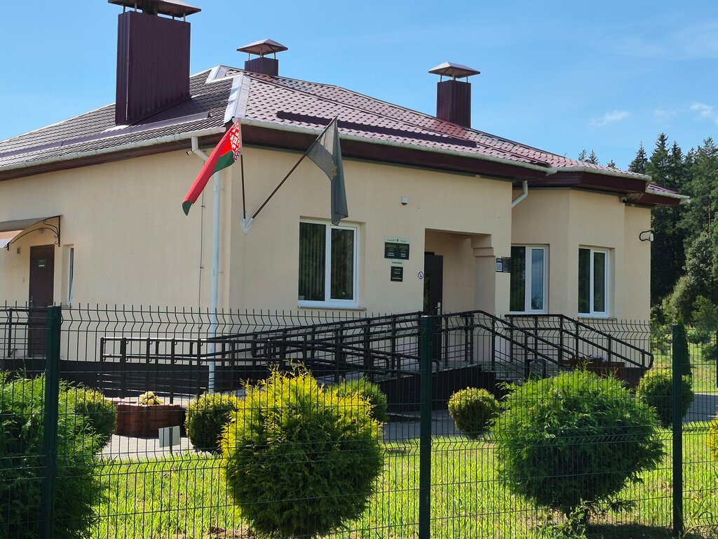 Orman işleri Gervyatskoye Lesnichestvo GLKhU Ostrovetsky leskhoz, Grodnenskaya oblastı, foto