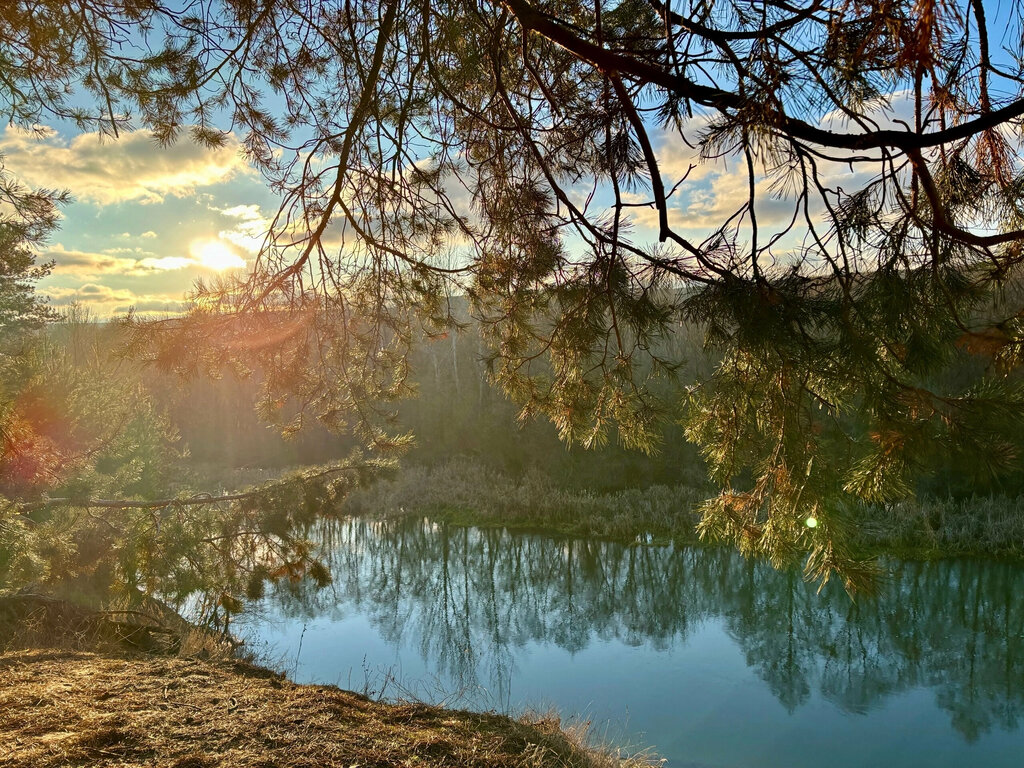 Plaj Круча, Novy Oskol, foto