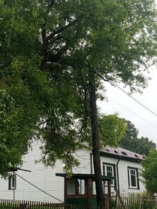 Кинотеатр Новая заря (ulitsa Orlova No:11), sinemalar  Plavsk'tan