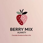 Berrymixalmaty (Oralhan Bókeev kóshesi No:1А), pastacılık üretimi  Almatı'dan