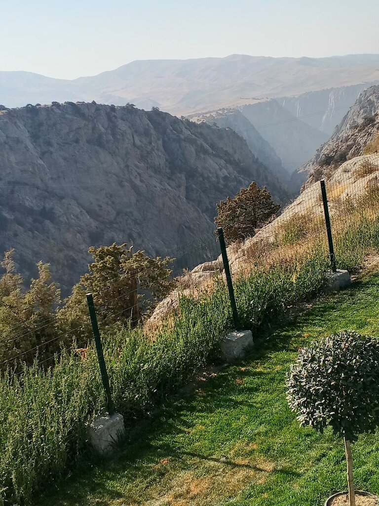 Fitness kulüpleri Lion Fitness, Cizzak, foto