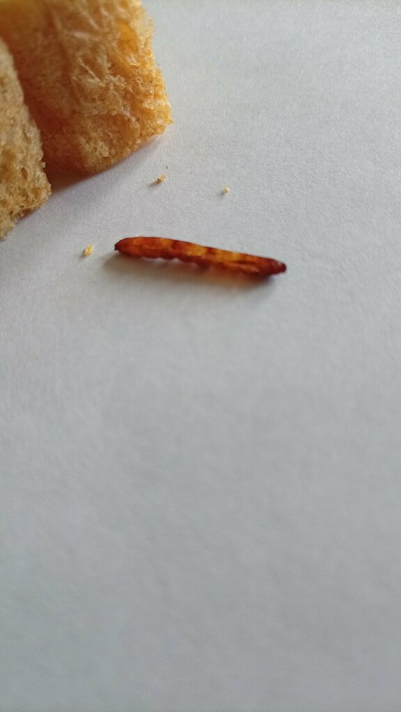 Ekmek fabrikaları Melkom, Kurganskaya oblastı, foto