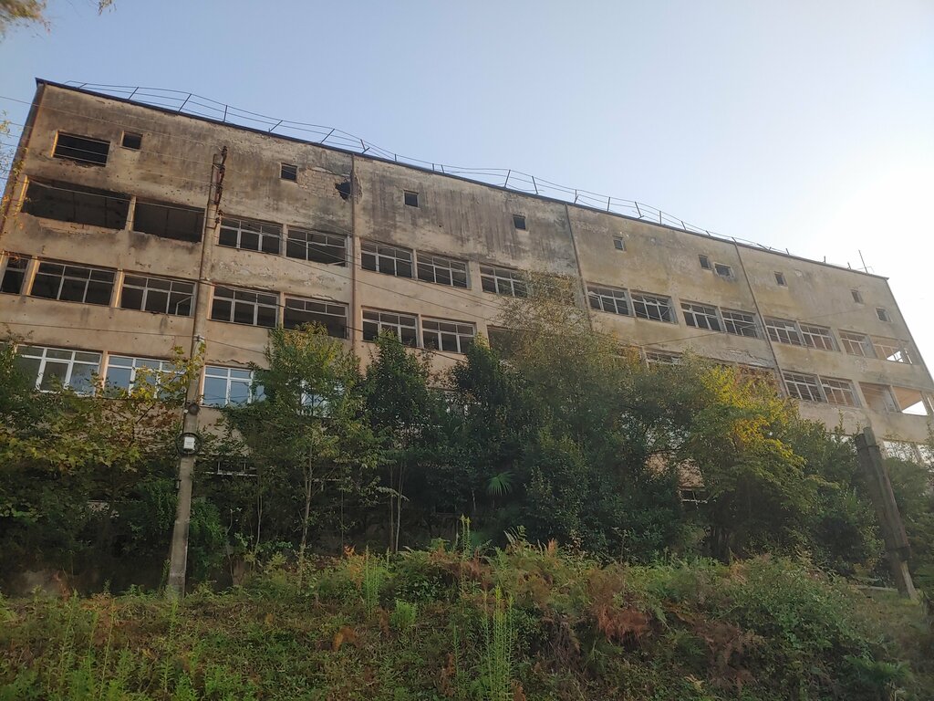 Bilim araştırma enstitüsü НИИ Экспериментальной паталогии и терапии Академии наук Абхазии, Suhum, foto