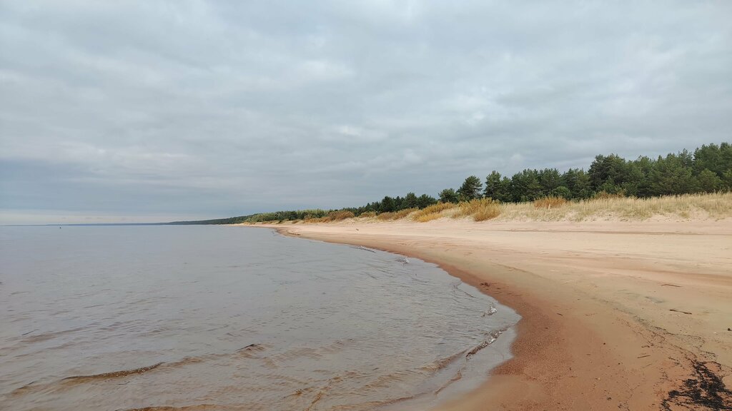 Konuk evi Гостевой дом Устье Тулоксы, Karelya, foto