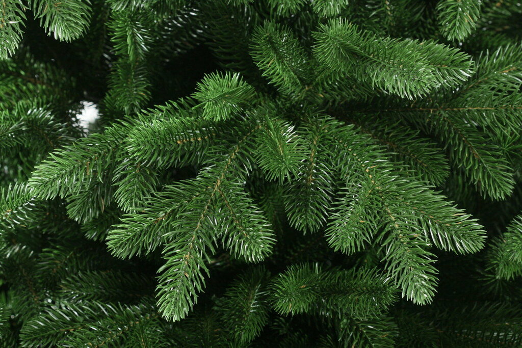 Yapay çam ağaçları ve süsleri Elkin Dom, Rostov‑na‑Donu, foto