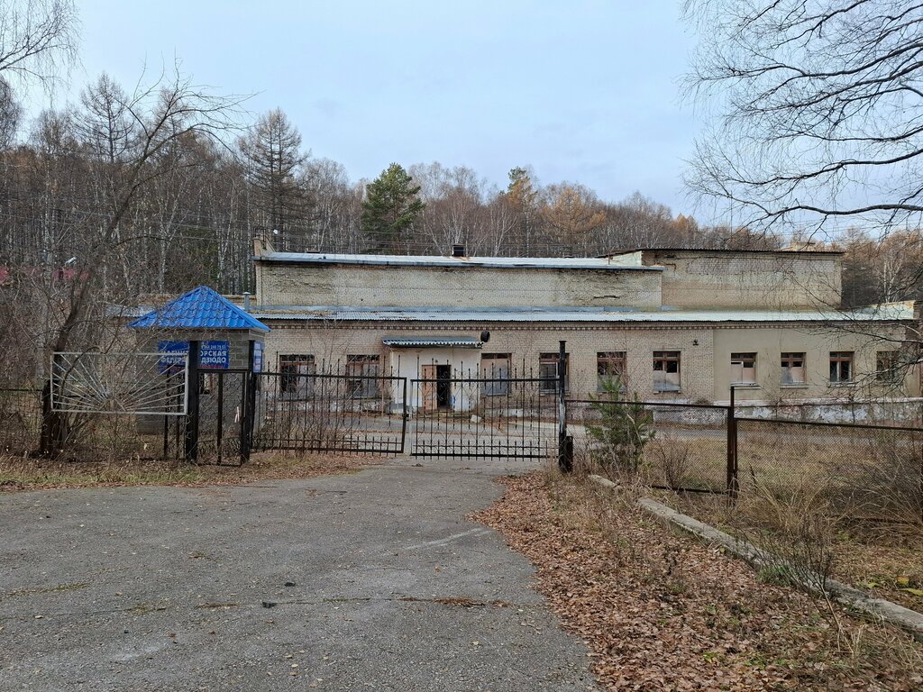 Unutulmaz olayların yeri Детский лагерь Орлёнок, Başkurdistan, foto