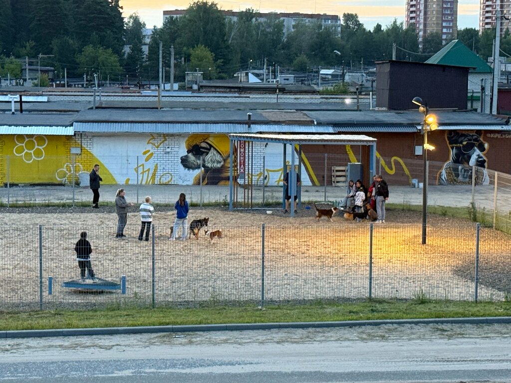 Köpek gezdirme alanları Dog park, Zelenodolsk (Yeşel Üzen), foto