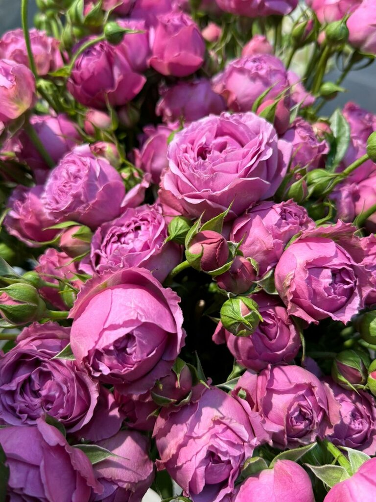 Çiçekçiler Про Букет, Tver, foto