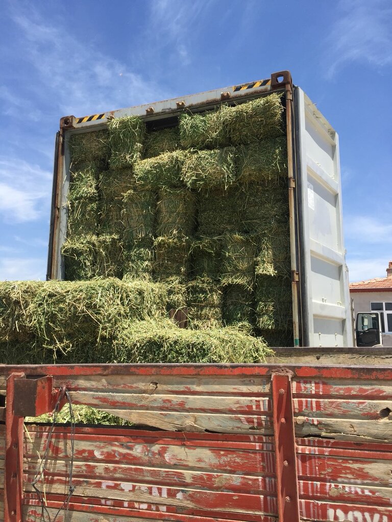Hayvancılık Lordlar Süt Çftliği, Konya, foto