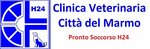 Clinica Veterinaria Citta' del Marmo Pronto Soccorso 24h (Tuscany, Massa-Carrara, Carrara, Marina di Carrara), tıbbi laboratuvarlar  Toskana'dan