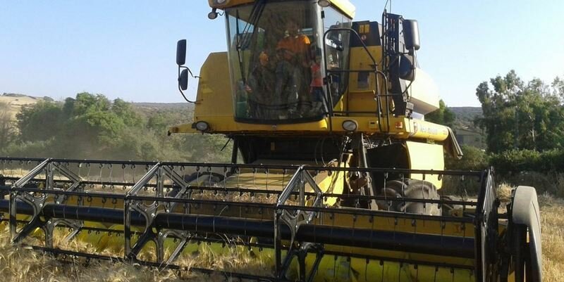 i̇nşaat firmaları Impresa Deaddis, Sardunya, foto