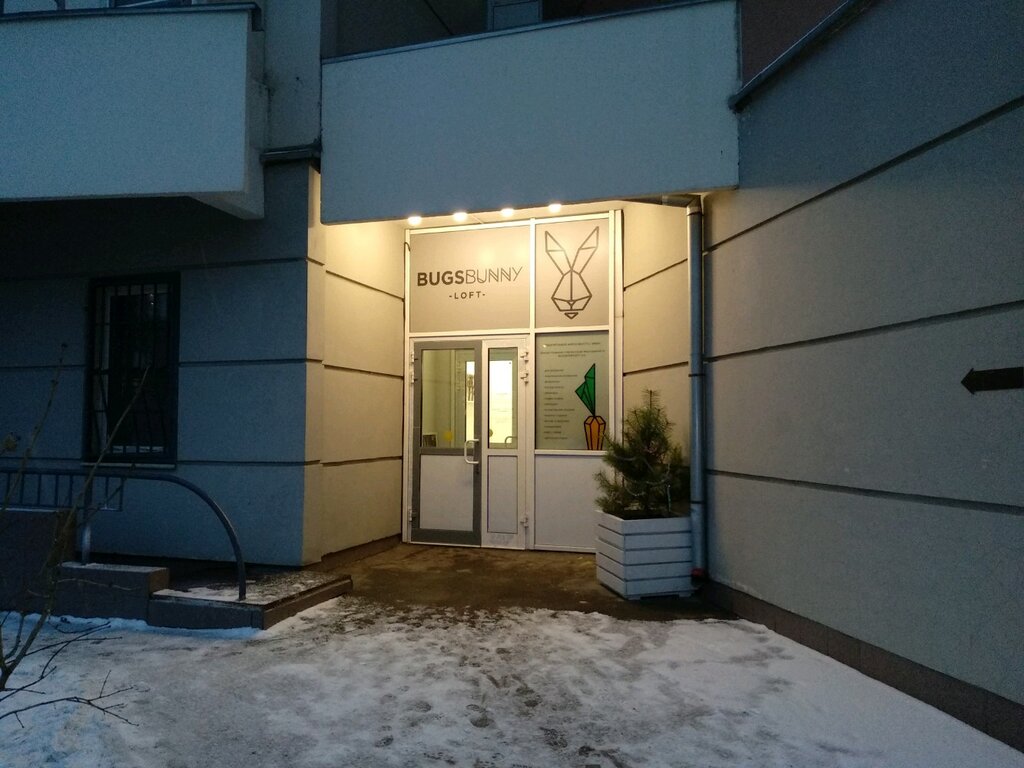 Çocuklar için kutlama organizasyonları Bugs Bunny Loft, Moskova, foto