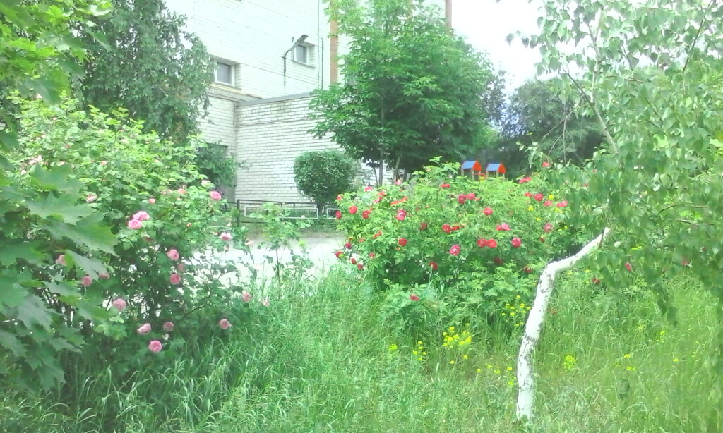 Gayrimenkul yönetimi Uk Millenium, Saratov, foto