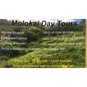 Molokai Day Tours (United States, Kauankakai, 1300 Kamahameha 5 Hwy.), piknik alanı  Havai Eyaleti'nden