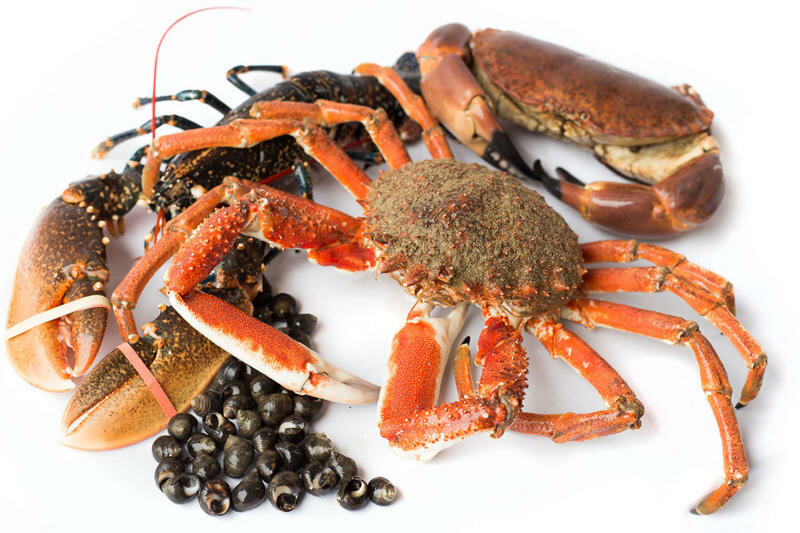 Toptan gıda mağazaları Mariscos Donosti, Bask Ülkesi, foto