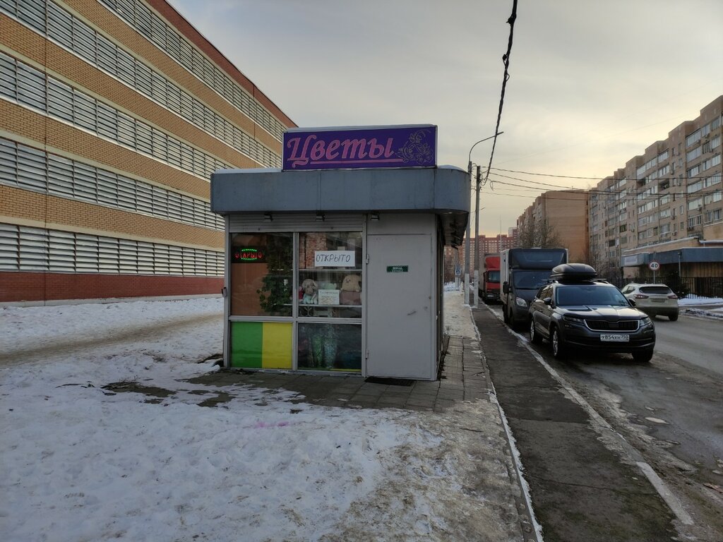 Çiçekçiler Flower shop, Dolgoprudny, foto