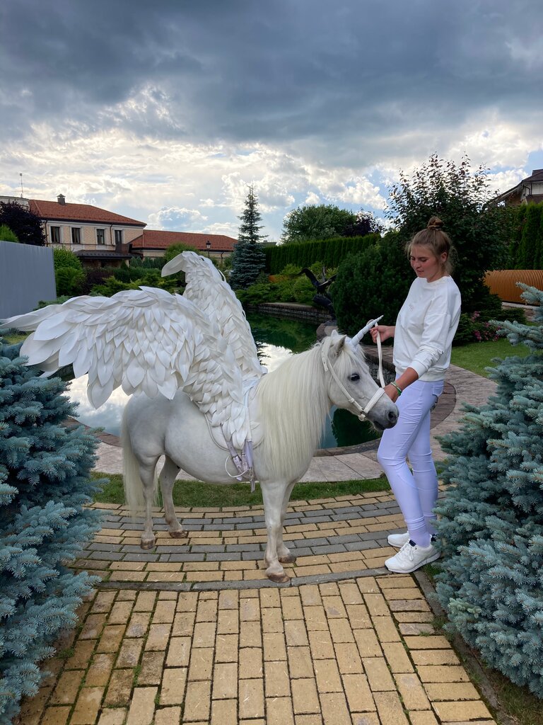 At ve binicilik kulüpleri Svoi, Krasnogorsk, foto