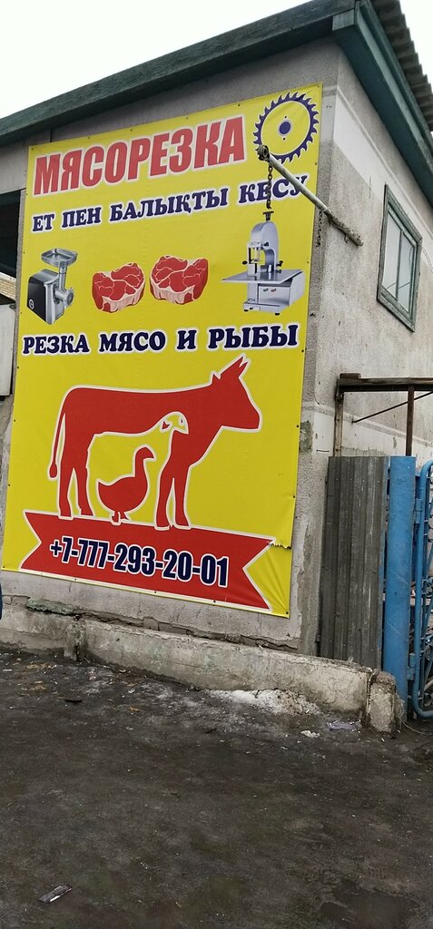 Kasap, şarküteri Meat Grinder, Semey, foto