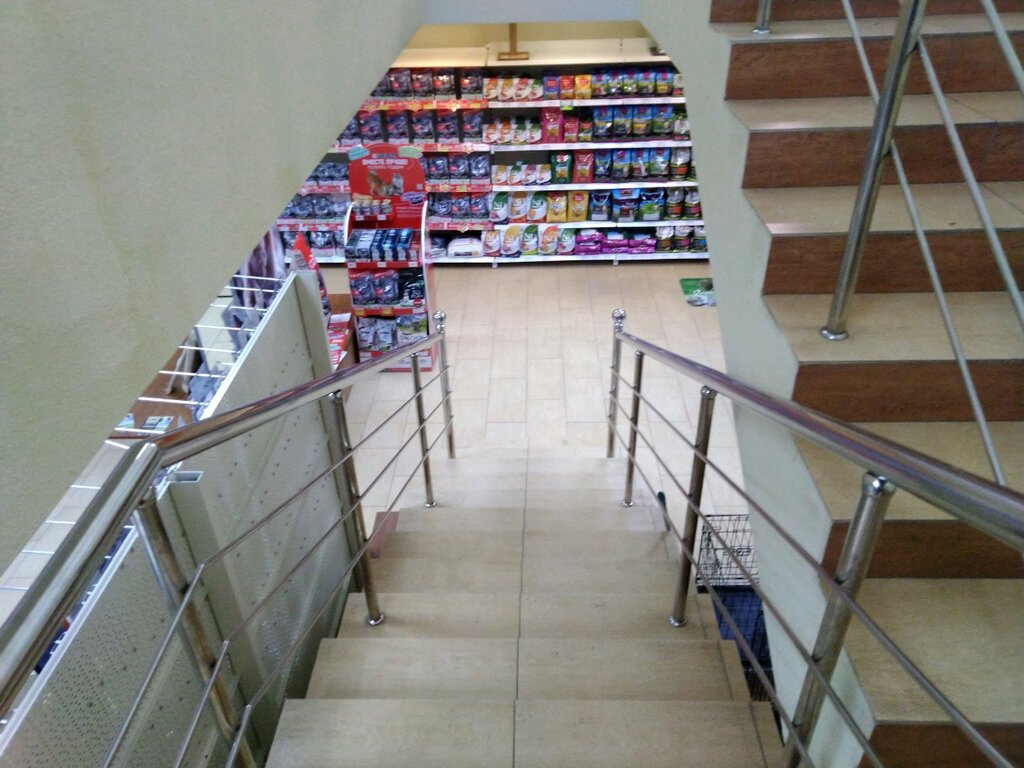 Market Зоогалерея, Briansk, foto