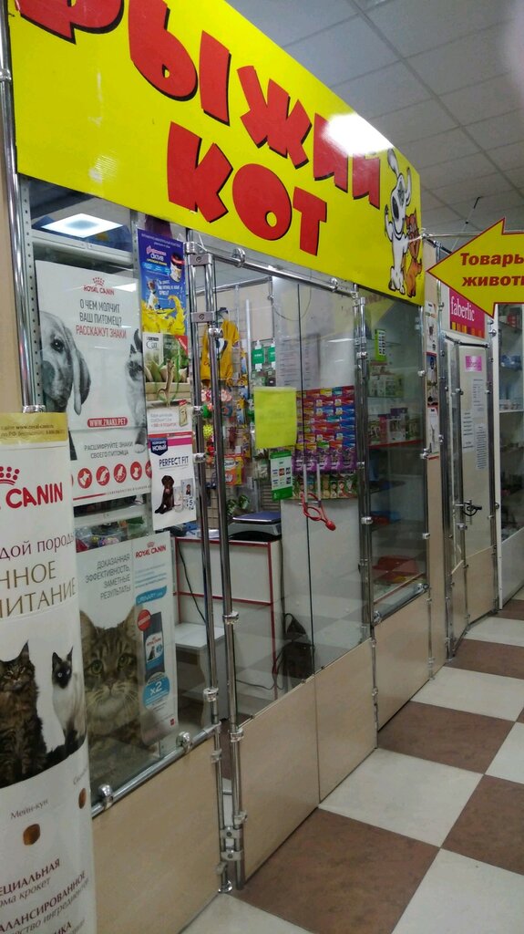 Petshop Рыжий кот, Novosibirsk, foto