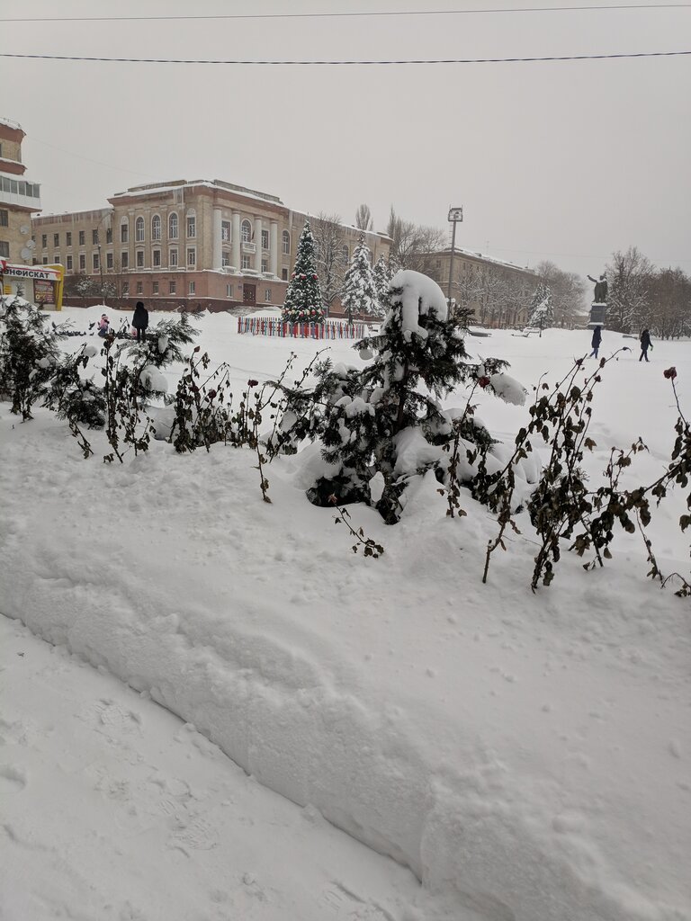 Anıt, heykel В.И. Ленин, Amvrosiyivka, foto