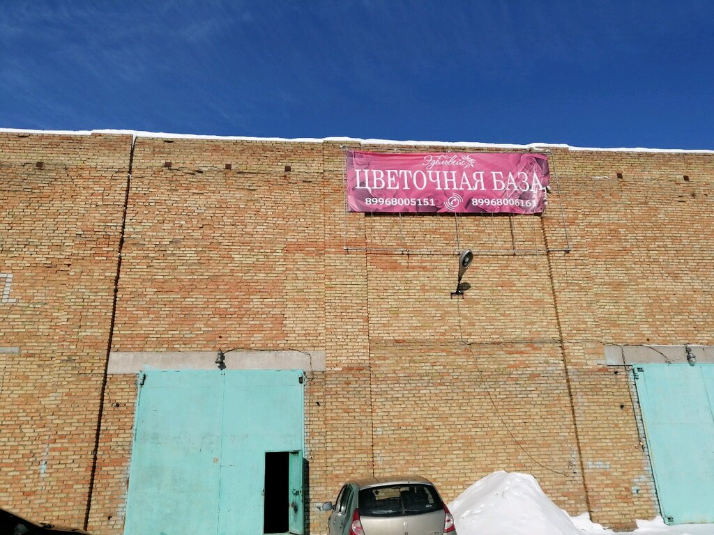 Çiçekçiler Эдельвейс, Penza, foto