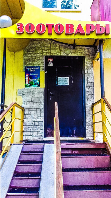 Akvaryumlar Akvariumny salon, Nijnekamsk (Tüben Kama), foto