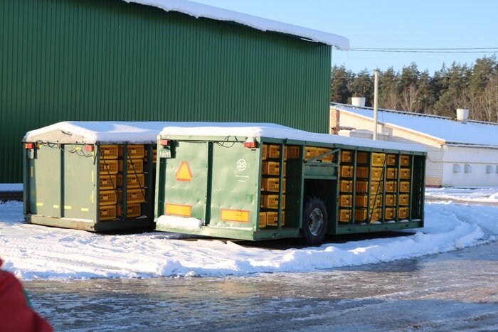 Hayvancılık Птицафабрика Студенец ОАО Асобино, Gomelskaya oblastı, foto