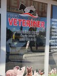 Bulut Veteriner Kliniği (Mardin, Midyat, Sanayi Mah., Cizre Cad., 104), veteriner klinikleri  Midyat'tan