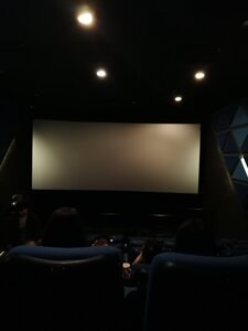 Pervomaisky (Zaozyornaya Street No:15, Omsk), sinemalar  Omsk'tan