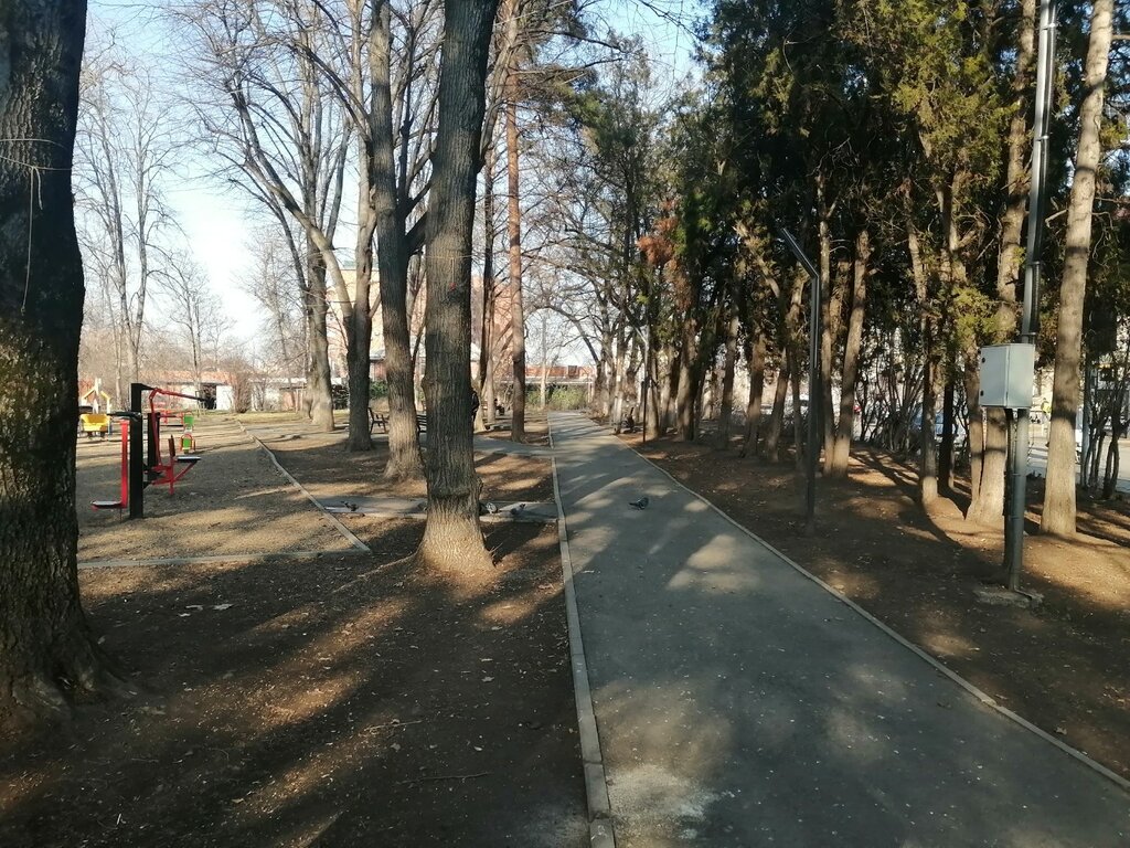 Kültür ve eğlence parkları Сад Тротнера, Krasnodar, foto