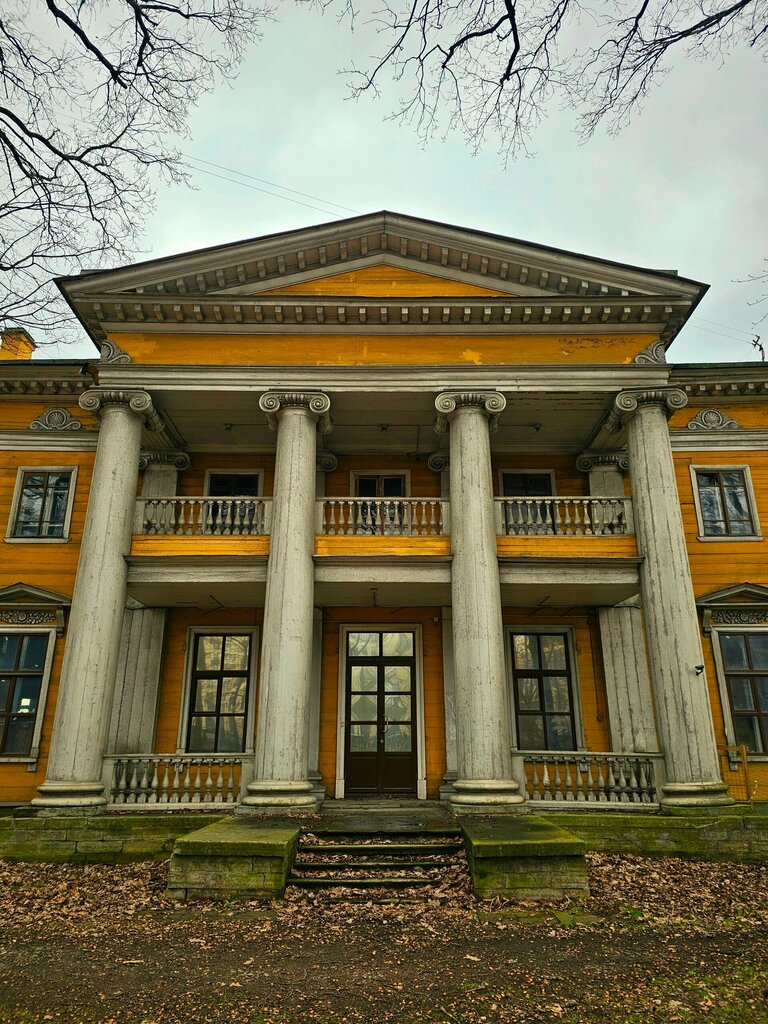 Turistik yerler Дача Головина, Saint‑Petersburg, foto