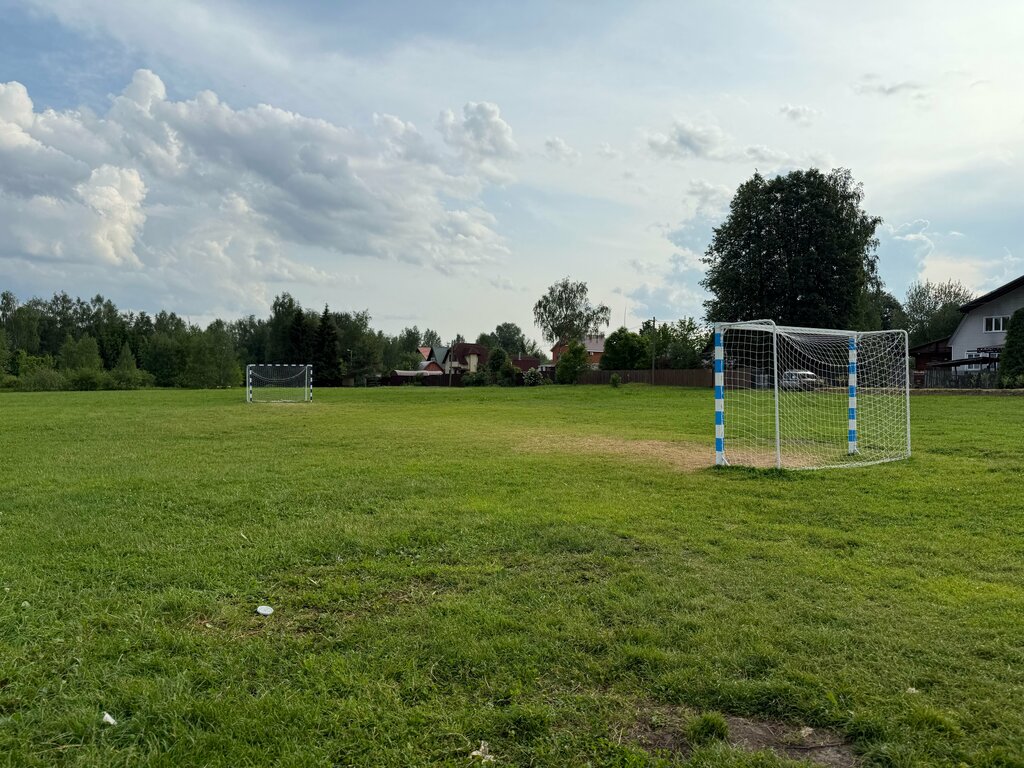 Spor alanı Футбольное поле, Moskova ve Moskovskaya oblastı, foto