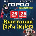 Выставка Вселенная Гарри Поттера (Entuziastov Highway No:12к2), sergi  Moskova'dan