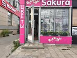 Sakura (Razdolnaya Street No:1А, Angarsky Village), çiçekçiler  Volgograd'dan