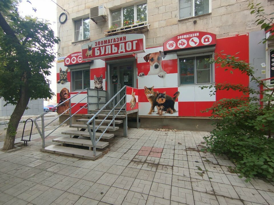 Petshop Buldog, Volgograd, foto
