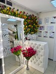 Resnitsy.ru (улица Козлова No:13), kaş ve kirpik salonu  Simferopol'dan (Akmescit'ten)