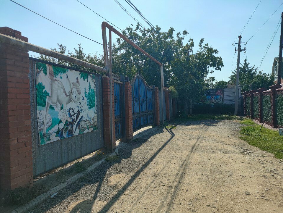 Anaokulları Alimran, Almatı, foto