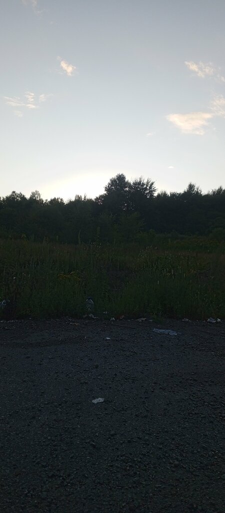 Kafe Cafe, Habarovski krayı, foto