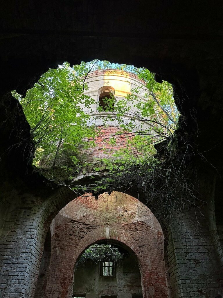 Ortodoks kiliseleri Заброшенный православный храм, Kalujskaya oblastı, foto