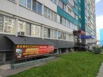 Добродом (Svetlaya Street No:11, Village of Zasechnoe), i̇kinci el eşya alımı  Penzenskaya oblastından