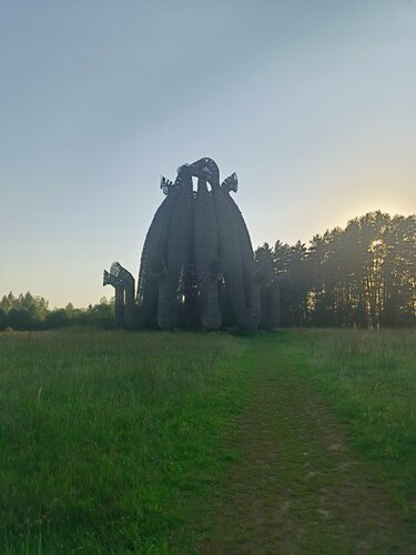 Kafe Nikolalenivets Farm, Kalujskaya oblastı, foto