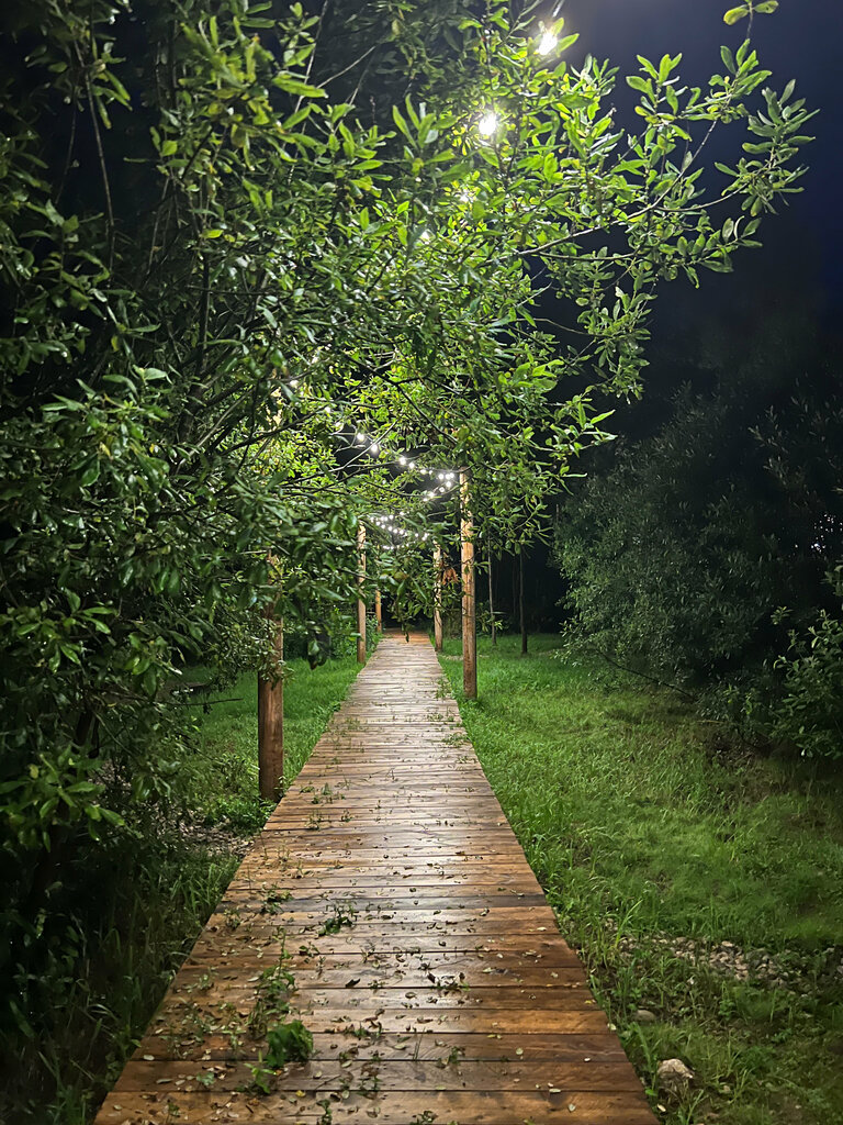 Kamp alanları Кемпинг Гербариум, Kalujskaya oblastı, foto