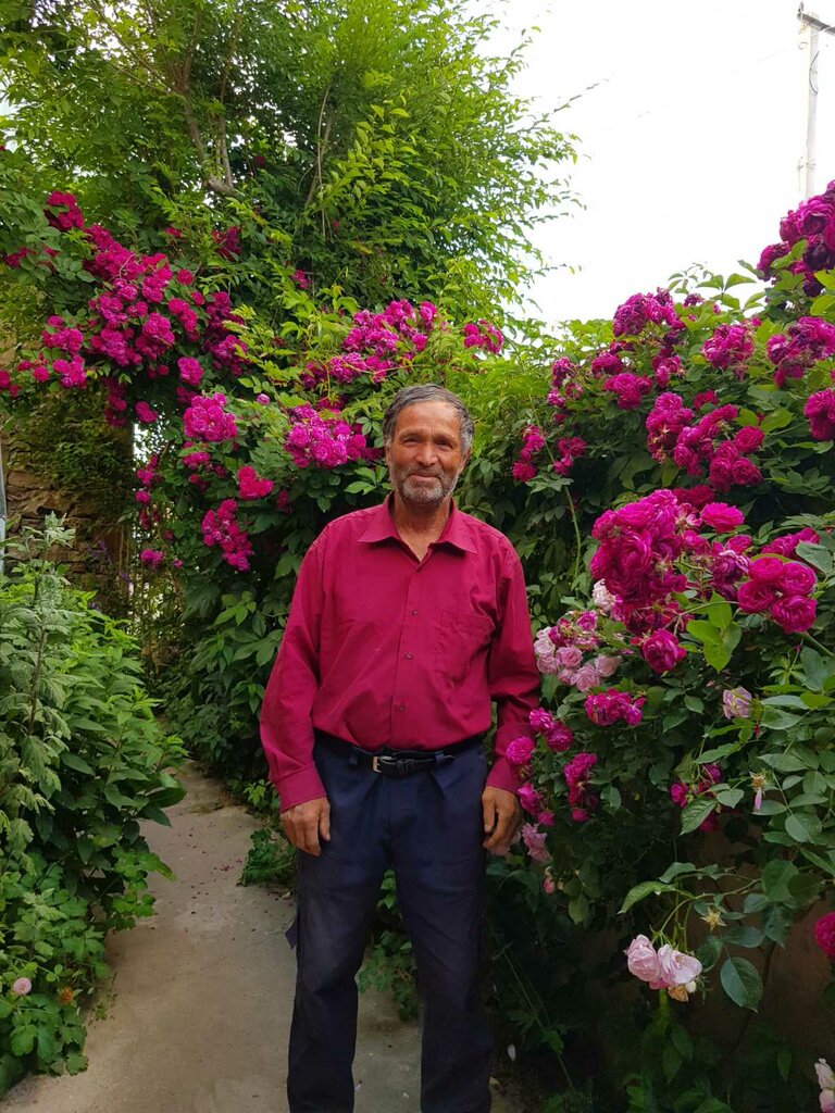 Tren istasyonu станция Никози, , foto