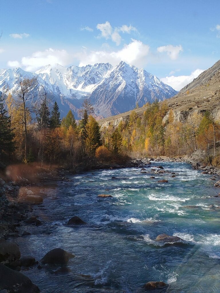 Dağ zirvesi Гора Шенелю, Altay Cumhuriyeti, foto